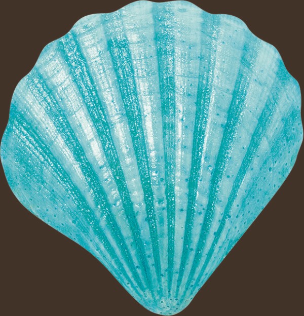 Timuçin Dandin: The Most Yalıkavak Kapanmaz Deniz Manzarası, Tamamı Taş ...